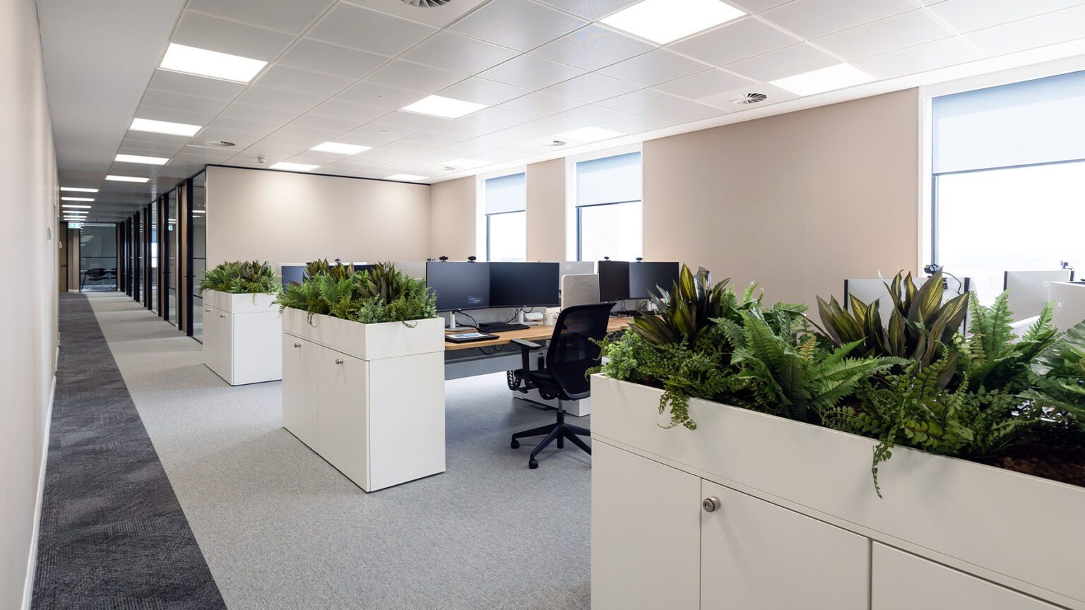 Withers & Rogers Office Design and Build Case Study | Interaction