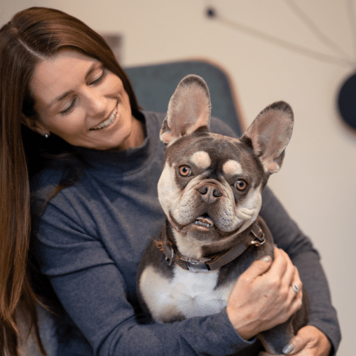 Enter Britain's Best Office Dog - Interaction