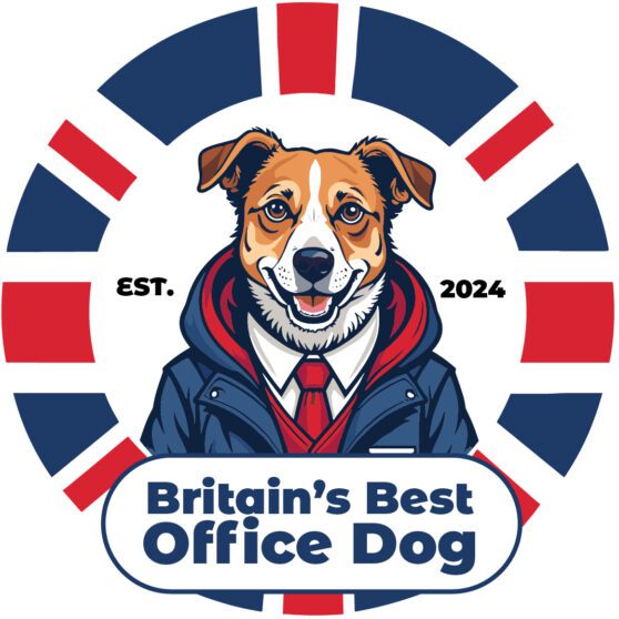 Enter Britain's Best Office Dog - Interaction
